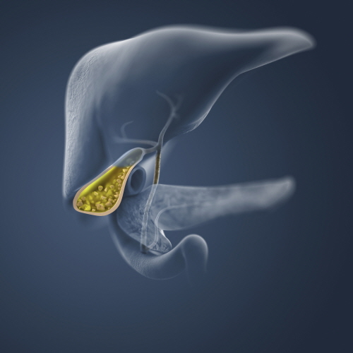 인천사랑병원 > 사랑이야기 > 건강정보 > 글읽기